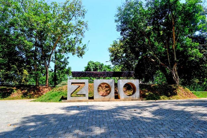 SG Tourism | PINNAWALA