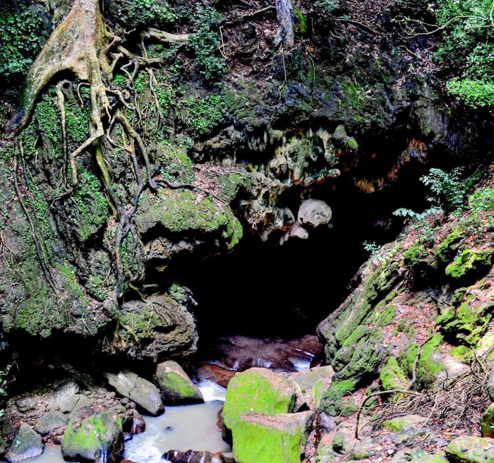 SG Tourism | WAWULPANE LIMESTONE CAVE